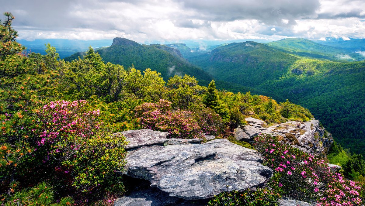 UNC Campuses | Global Engagement Office